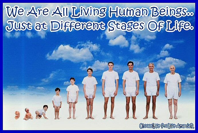 Secular Pro-Life Perspectives: Stages of Life Secular Pro-Life Perspectives: Stages of Life