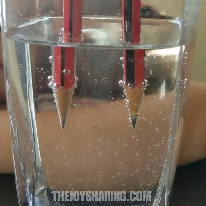 Electrolysis Of Water Science Experiment - The Joy of Sharing