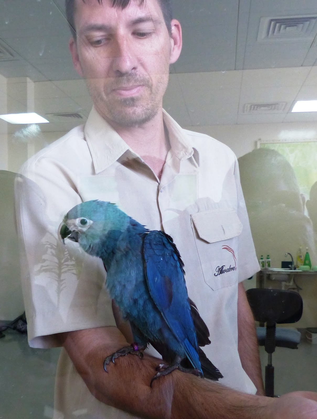 Underwater Centre ~ Dive Seychelles: The rarest bird in the world ...