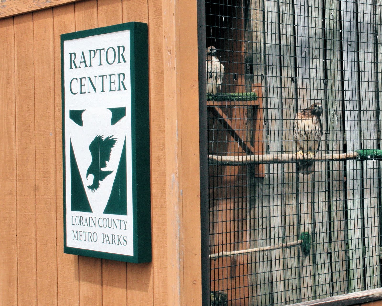 Birds from Behind : 24 April 2011