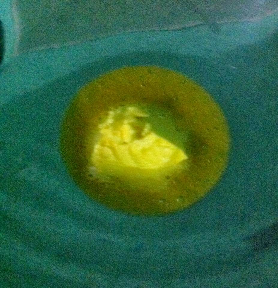 Spicy Garlic Butter Ulang (Giant Freshwater Prawn)