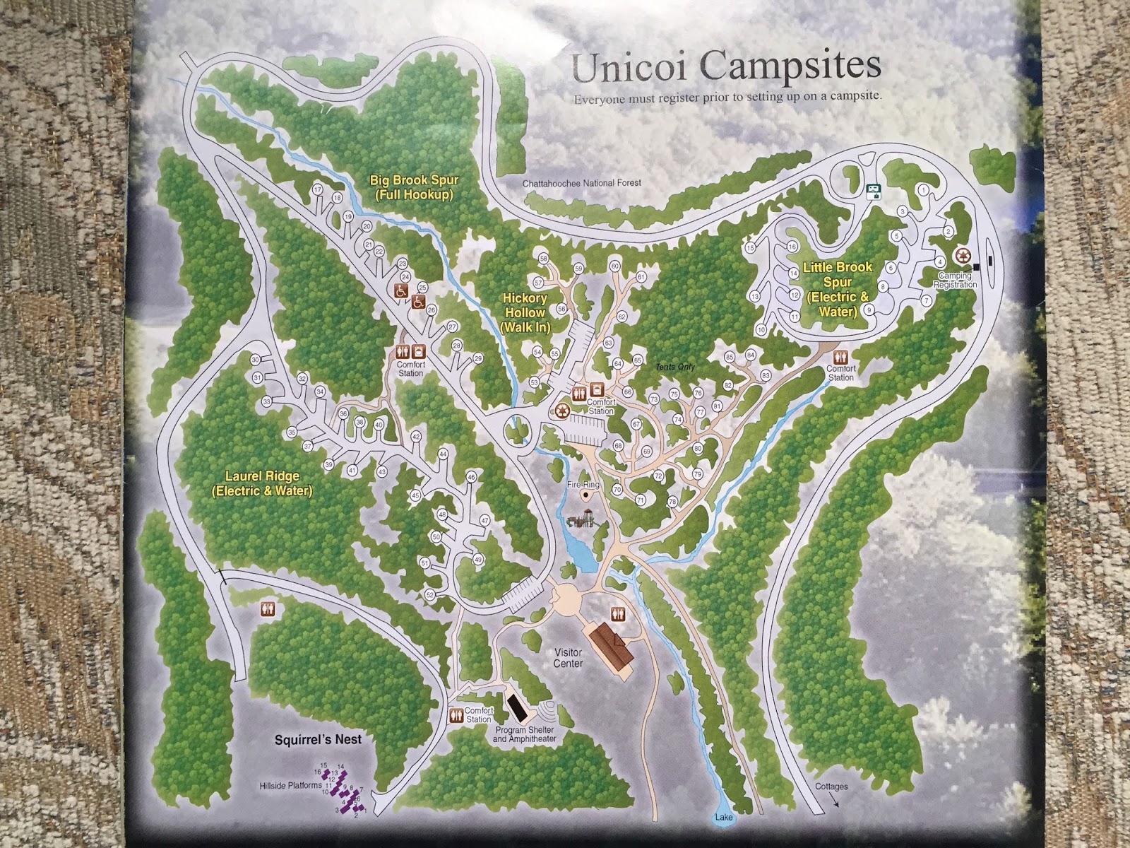 The Wandering Webers: Unicoi State Park Georgia