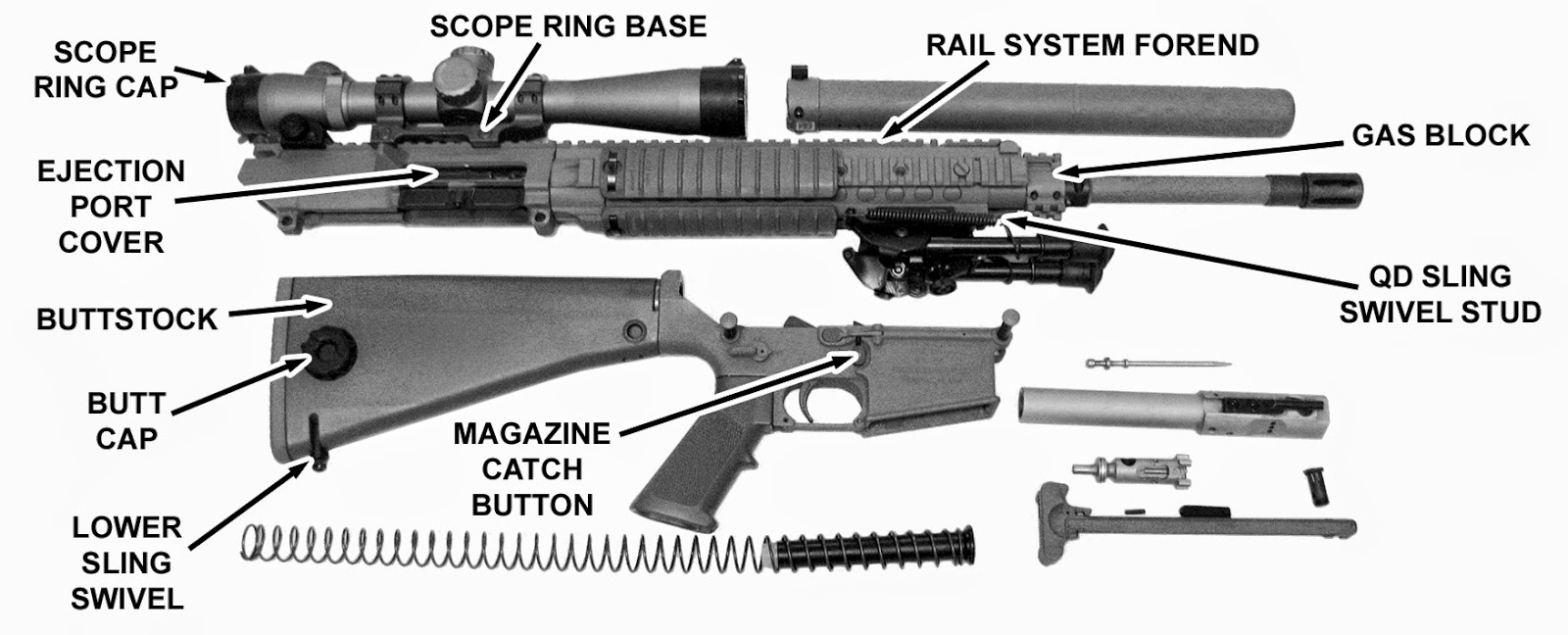 United States Ground Forces: M110 SASS