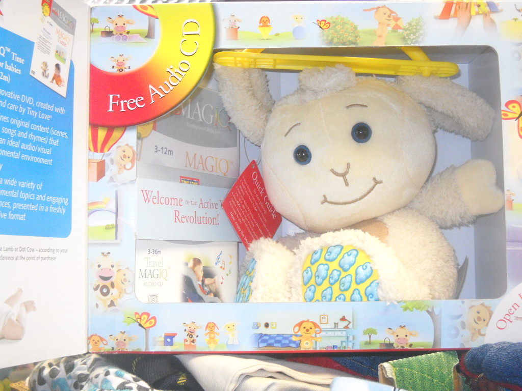 Valley Park Resale and Flea Market: Tiny Love DVD MagIQ Electronic ...