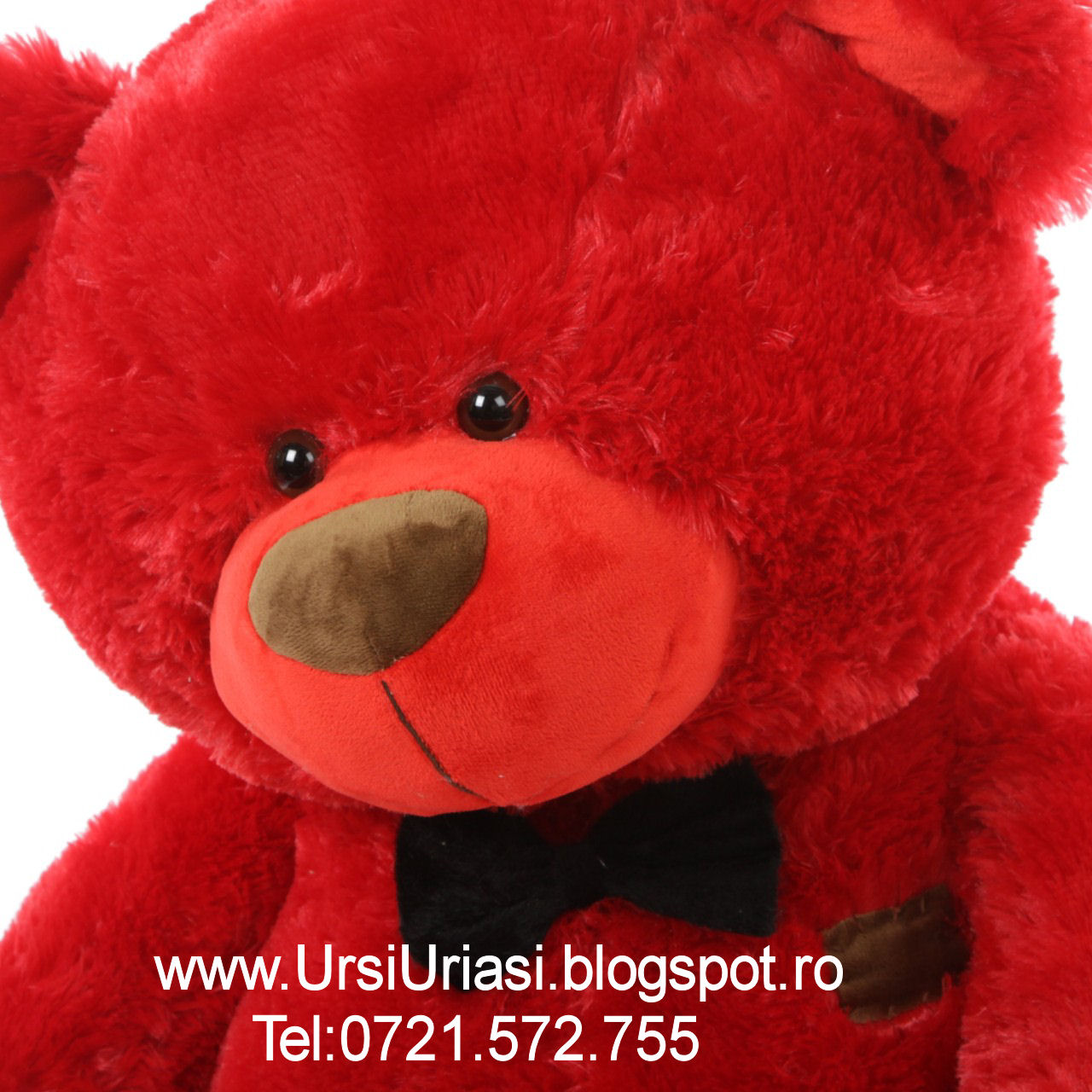 Ursuleti de Plus Uriasi 2m!!! Promotie 350 Lei