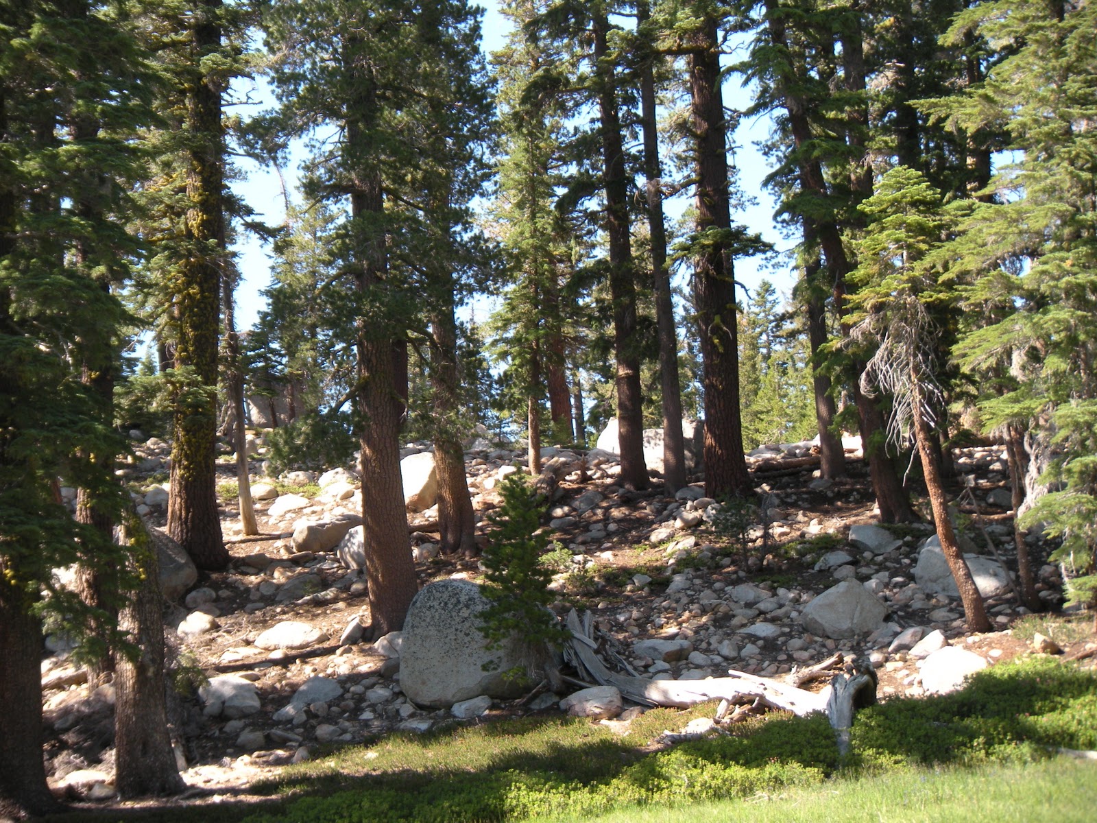 Peachy Hiker: Desolation Wilderness Grouse Lake