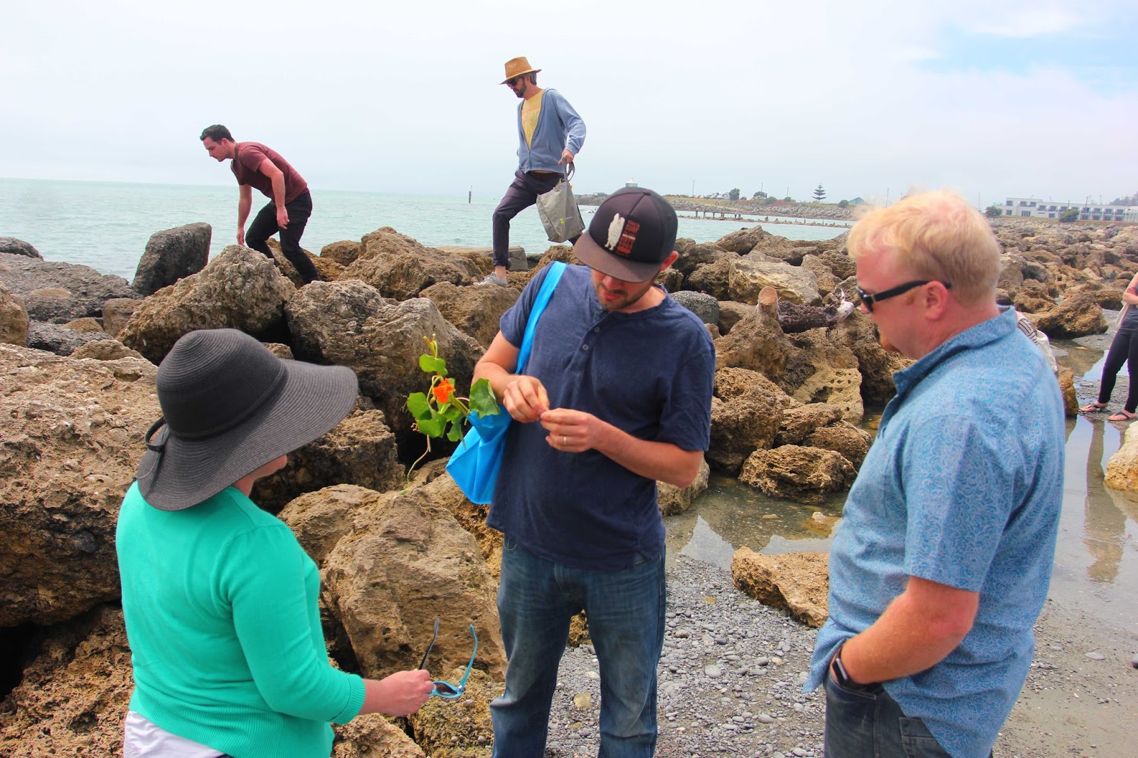 Wild-Foods-NZ: Wild Capture Foraging Tours