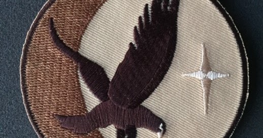 THE USAF RESCUE COLLECTION: USAF 55th RQS / Night Hawks DCU Patch