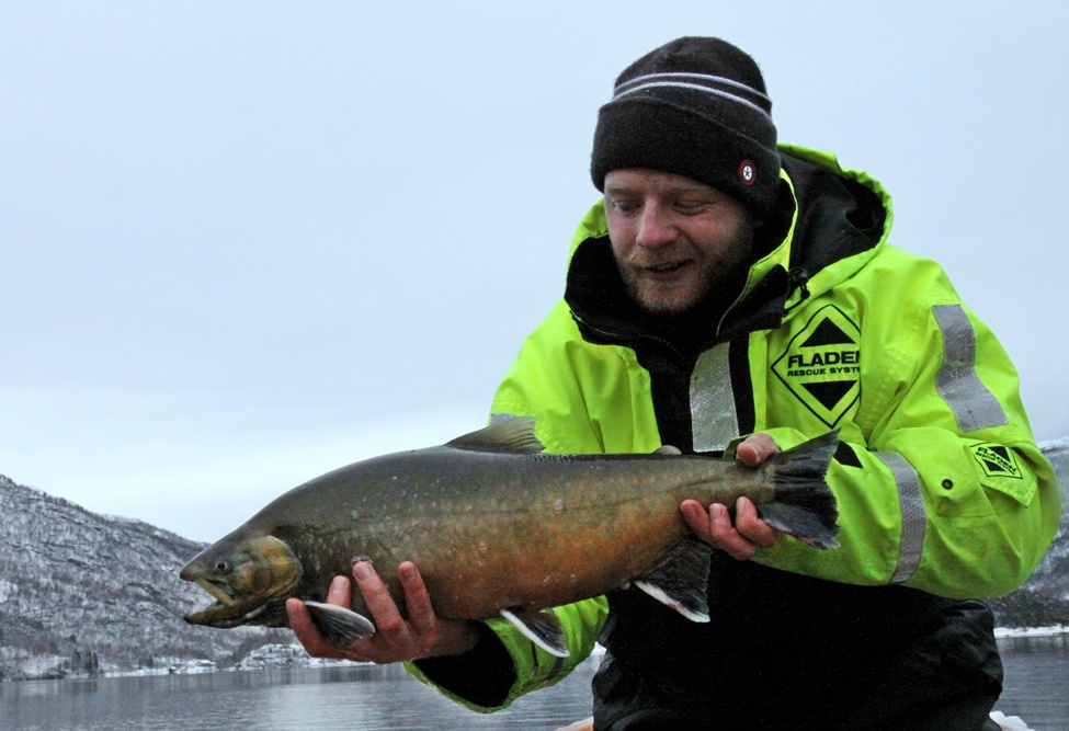 Fisk og rask - Sportsfiske på Vestlandet: Artsliste og perser