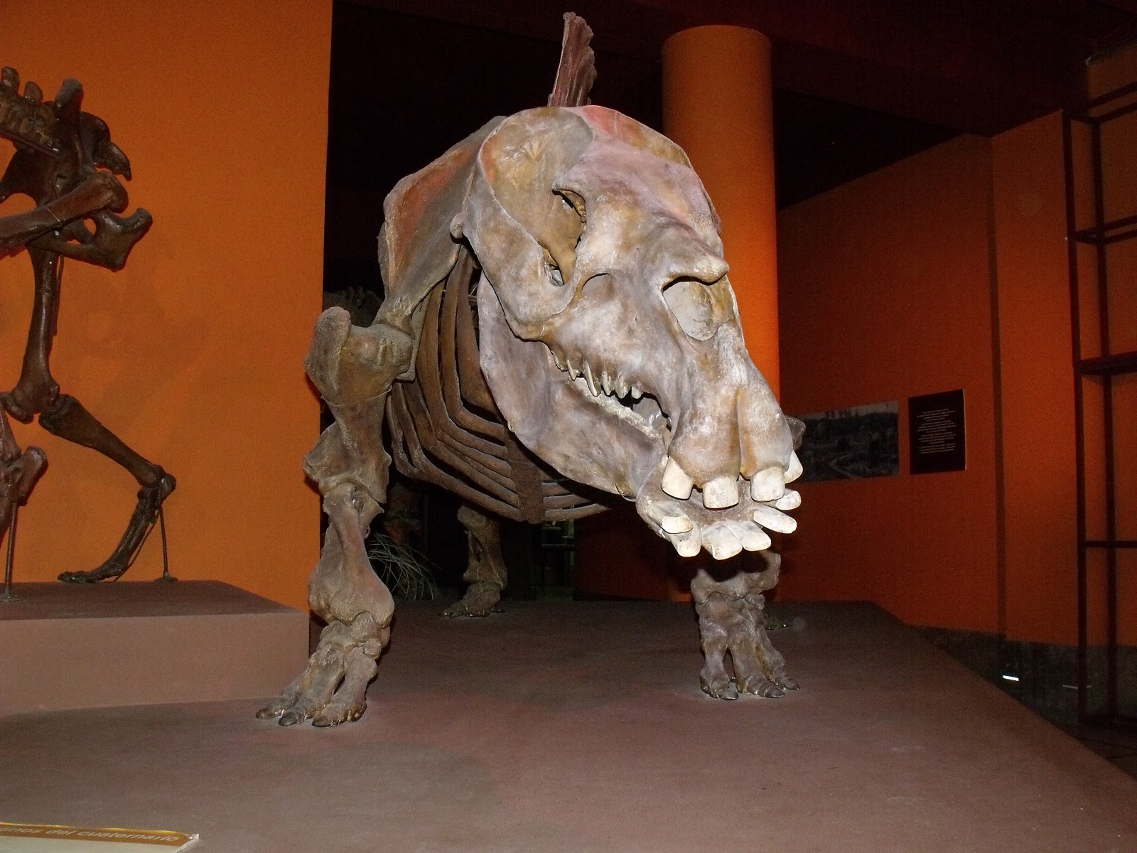 NATURALEZA Y CULTURA: Museo Argentino de Ciencias Naturales