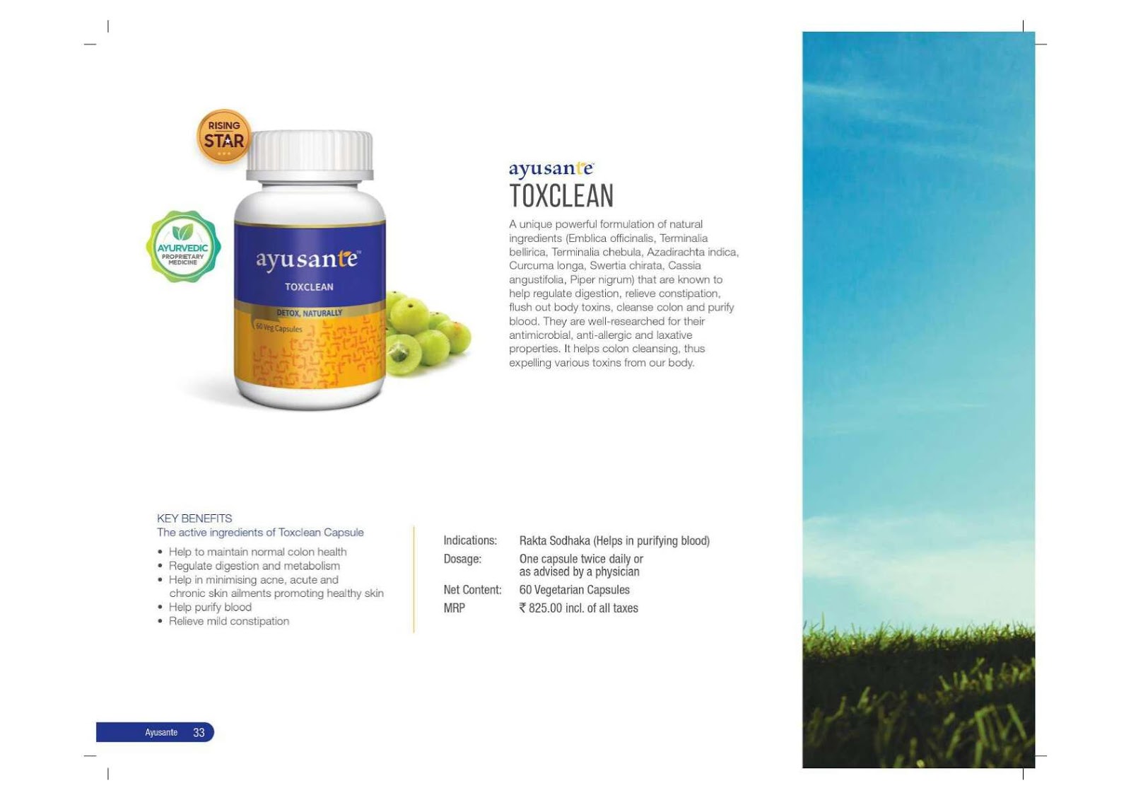 Vestige all products book catalogue - Vestige