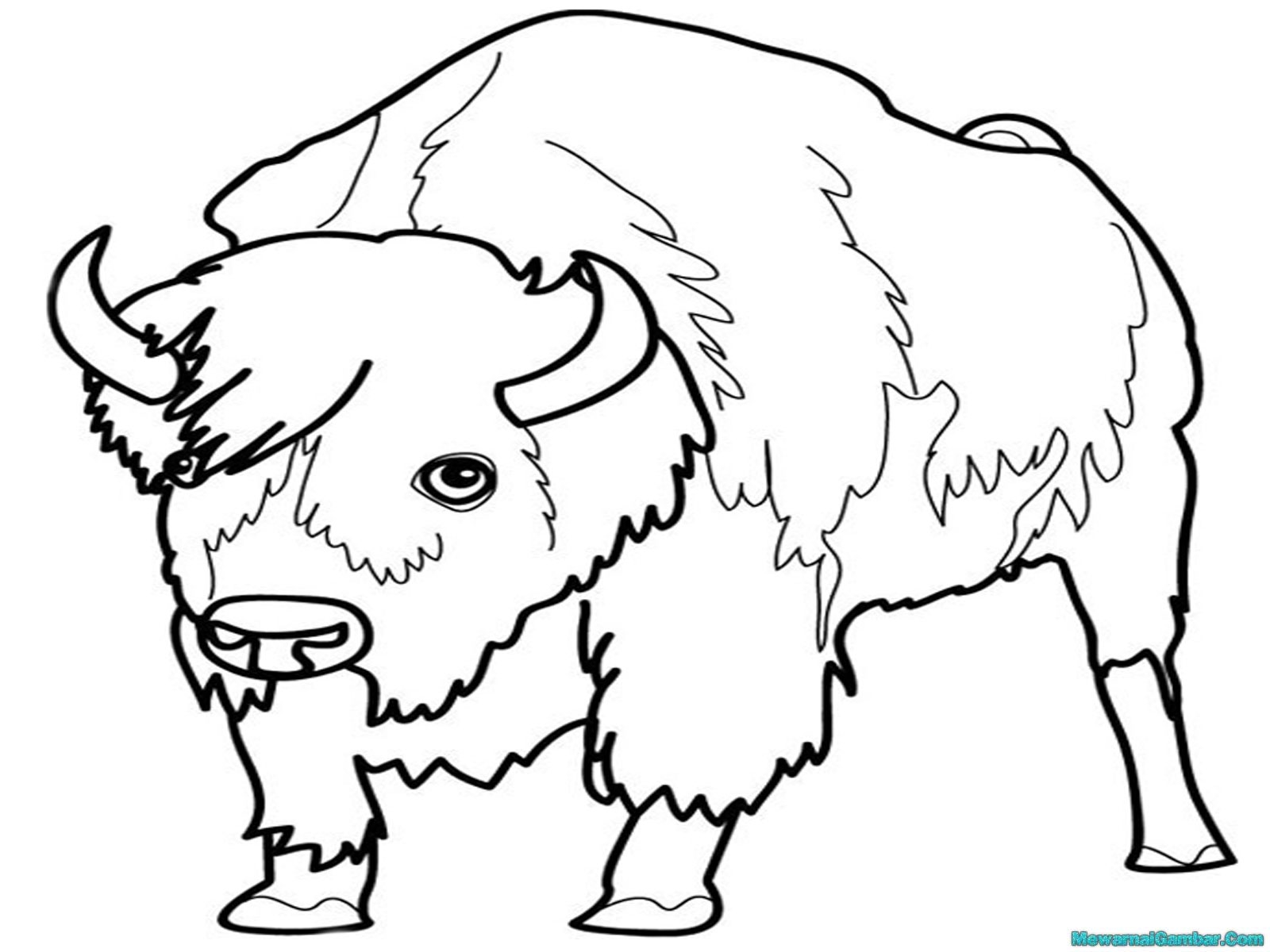 Mewarnai Gambar Bison | Mewarnai Gambar