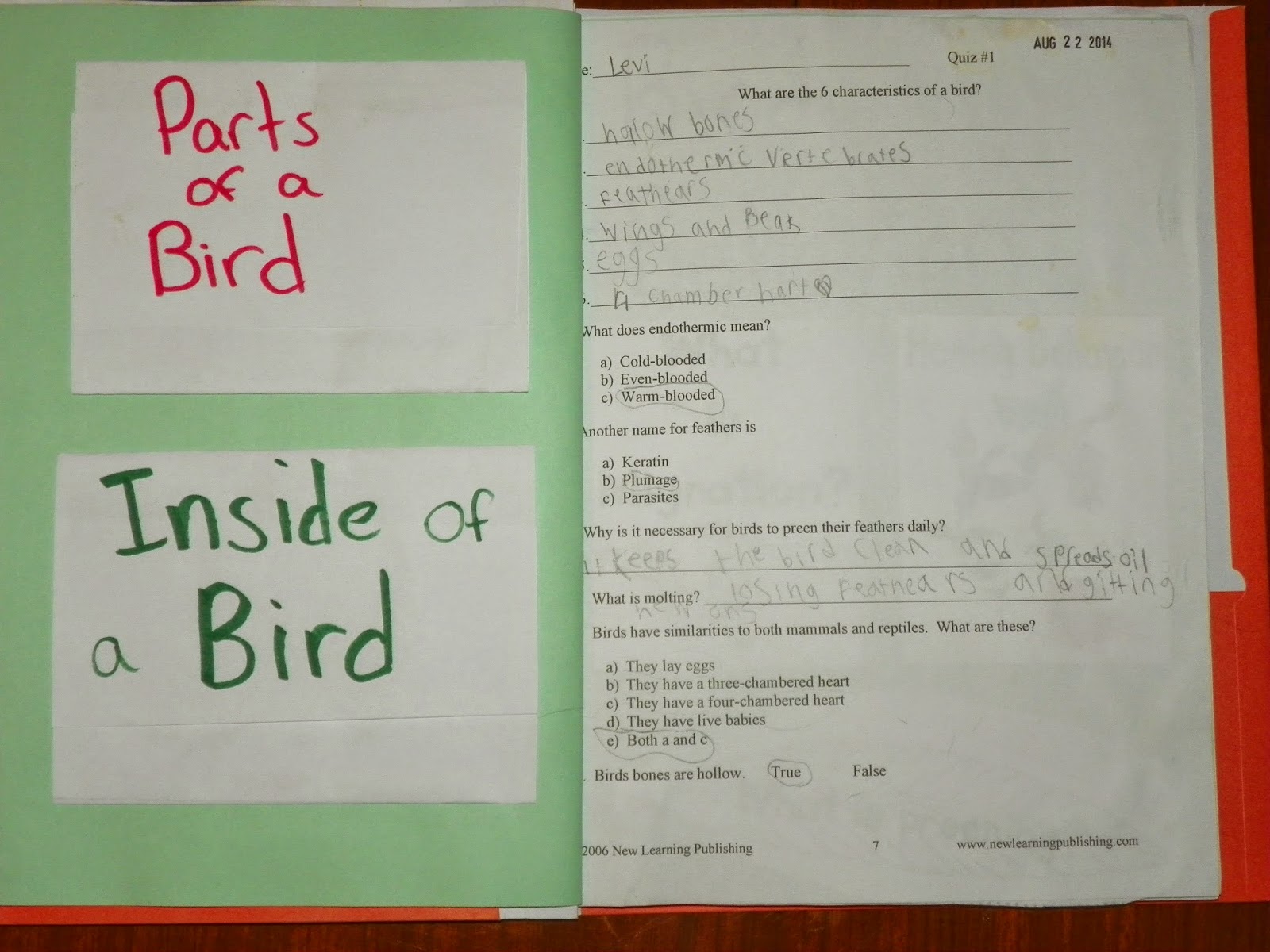 The Little Sewing Shop: Bird Lapbook and Unit Study (August-Sept 2014)