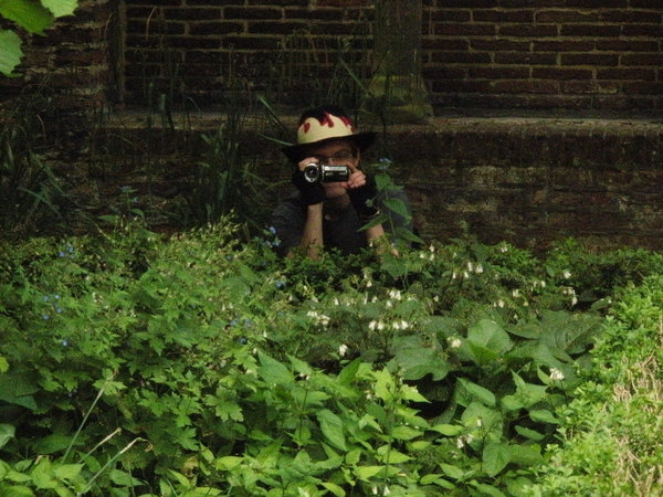 Ignorantics: June 2012