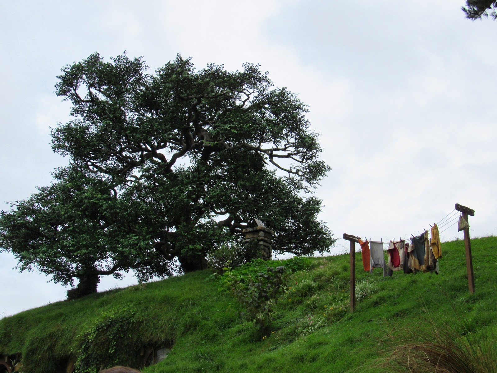 Nueva Zelanda XX - Del fantástico mundo de Hobbiton al paraíso terrenal ...