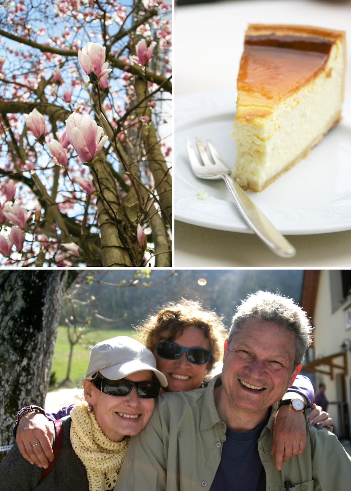 The Colors of Spring in Germany