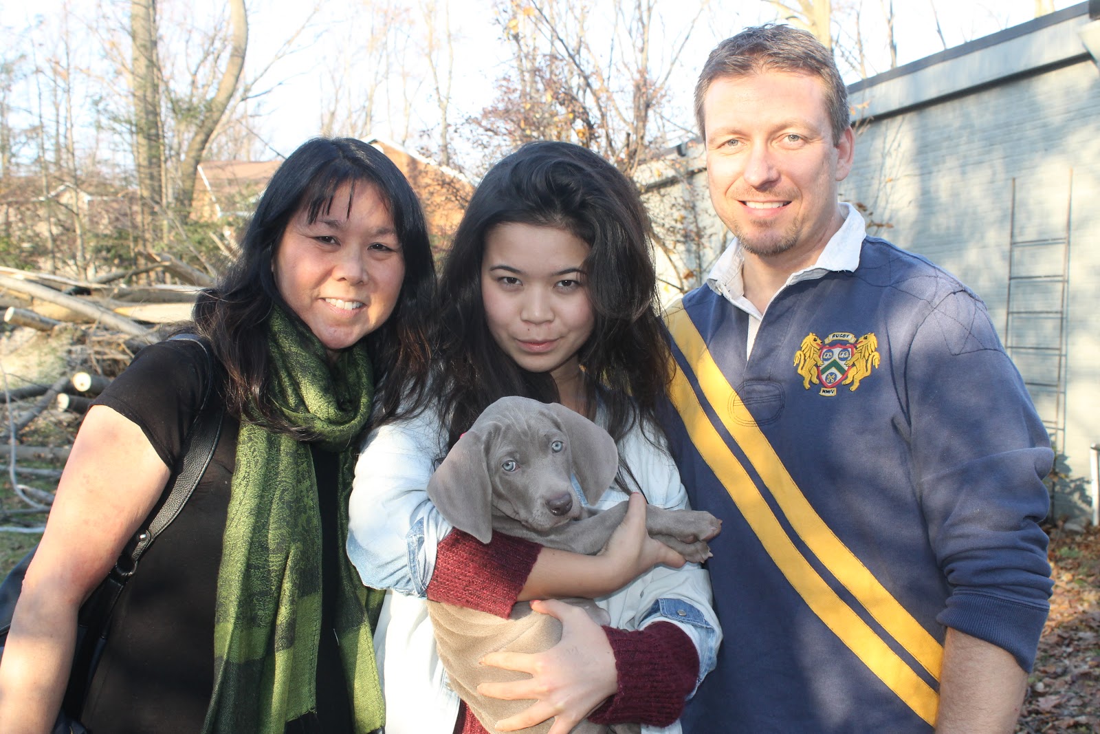 Grayhart Weimaraners: J-S Pups: The Rockstars go on Tour!