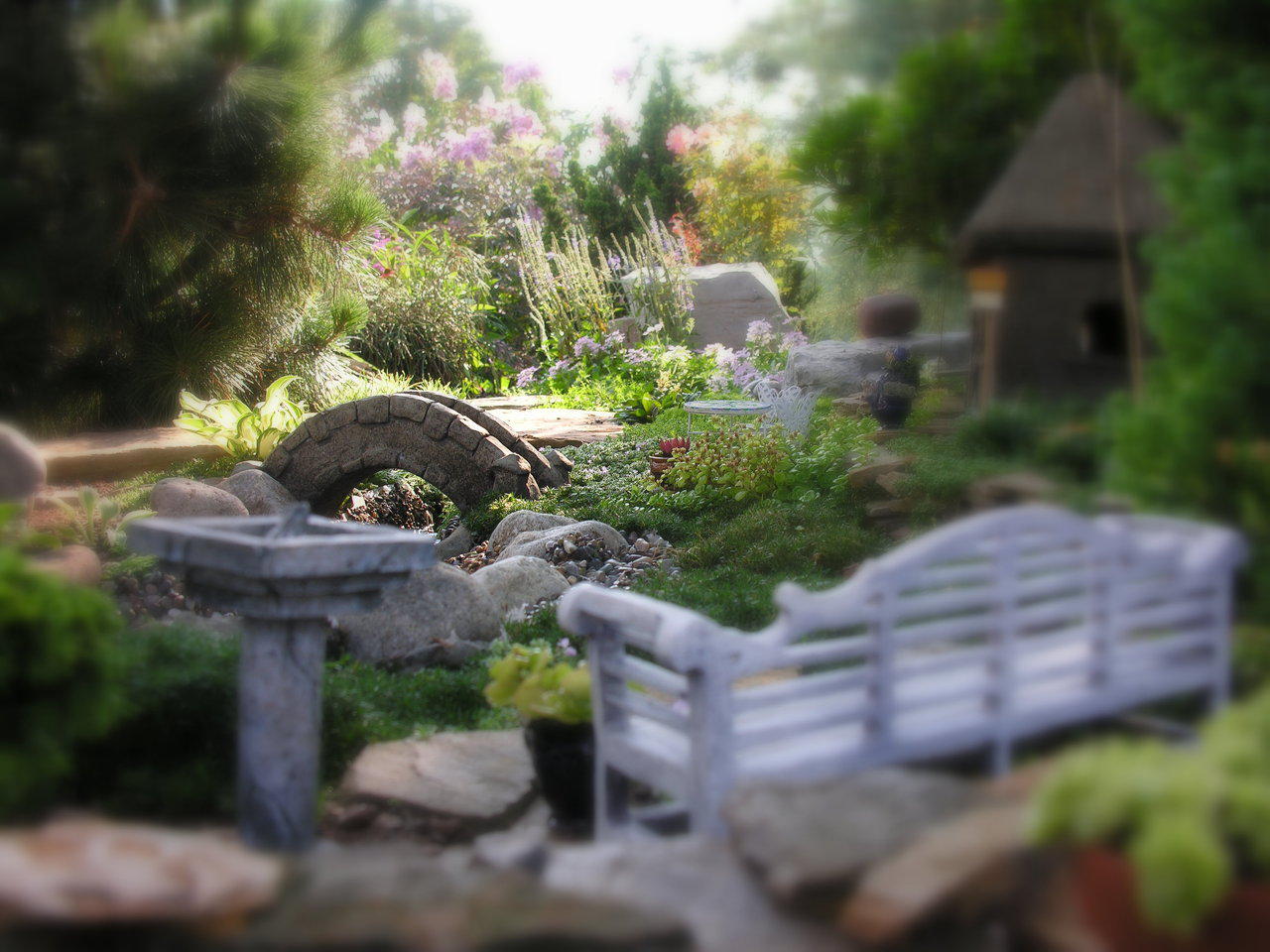 paradis express: Landscape in miniature