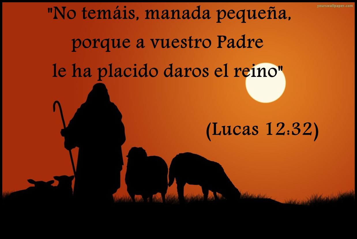 Reflexiones Bíblicas