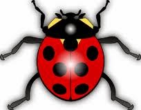 Planse de colorat si fise pentru copii: BUBURUZE - IMAGINI cu Insecte ...