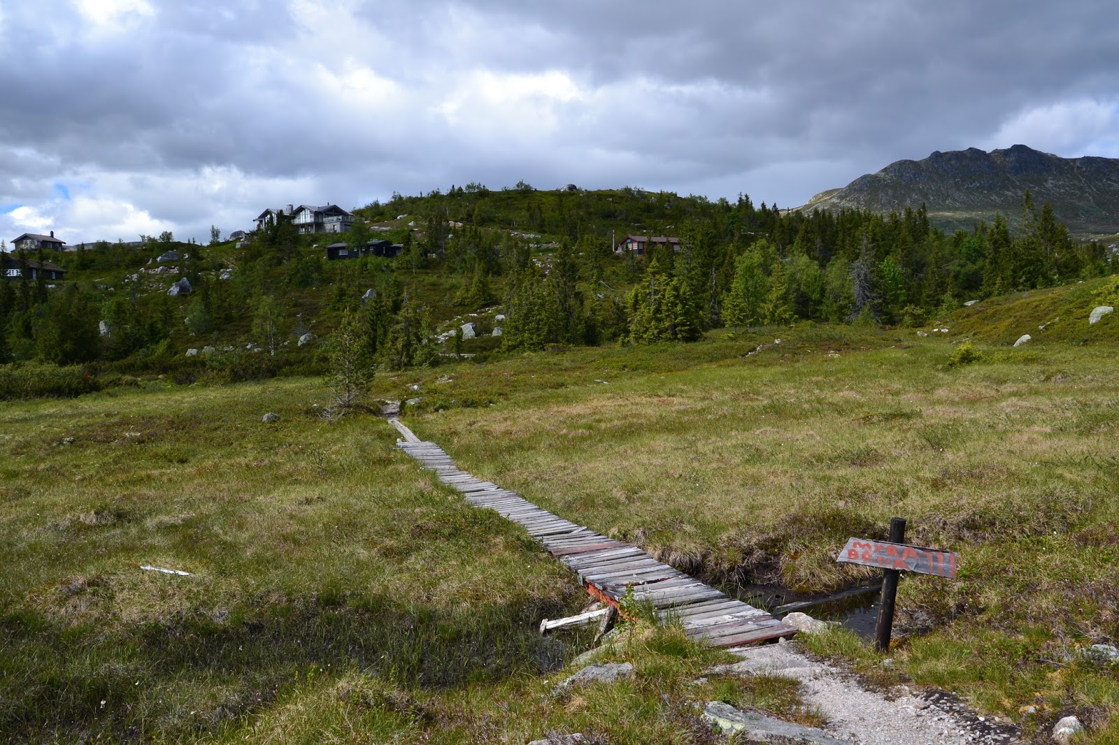 Rundtur Tempelseter- Fetjenn - Istjenn - Tempelseter