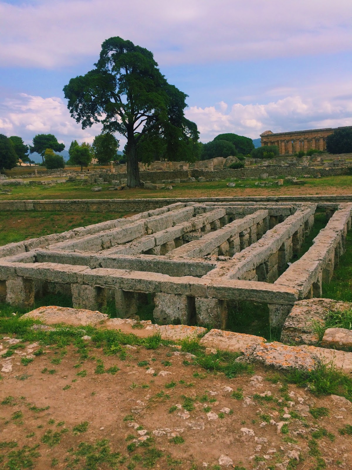 Discover The Ancient Greek temples Of Paestum - Corinna B's World