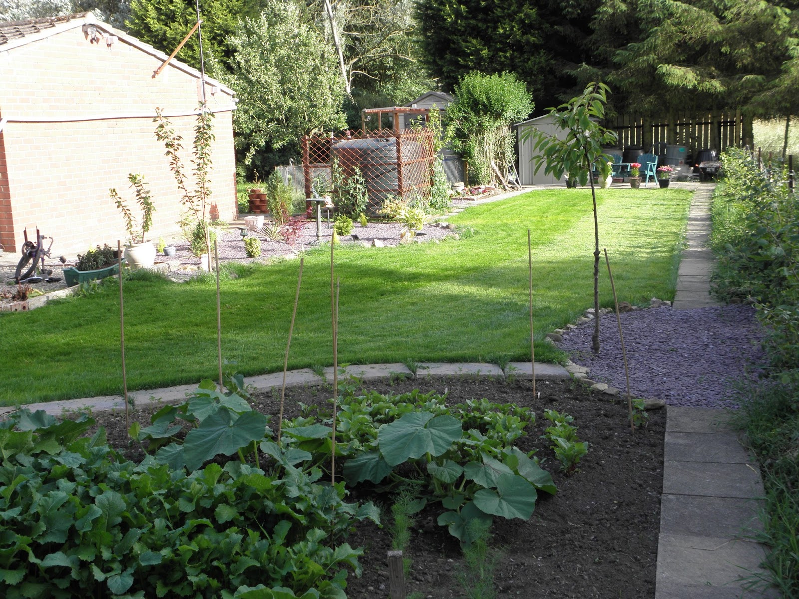 where eagles fear to perch: DIY landscaping of the extended garden....