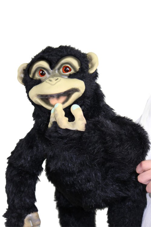 Professional Puppets, Ventriloquism tips, Kids entertainment tips: Baby ...