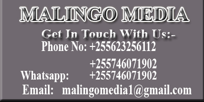 Malingo Media