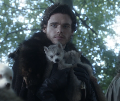 Robb Stark: The King in the North ~ Minds Melding