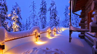 Zimska idila u šumi ~ 1280x720 Pozadine za desktop