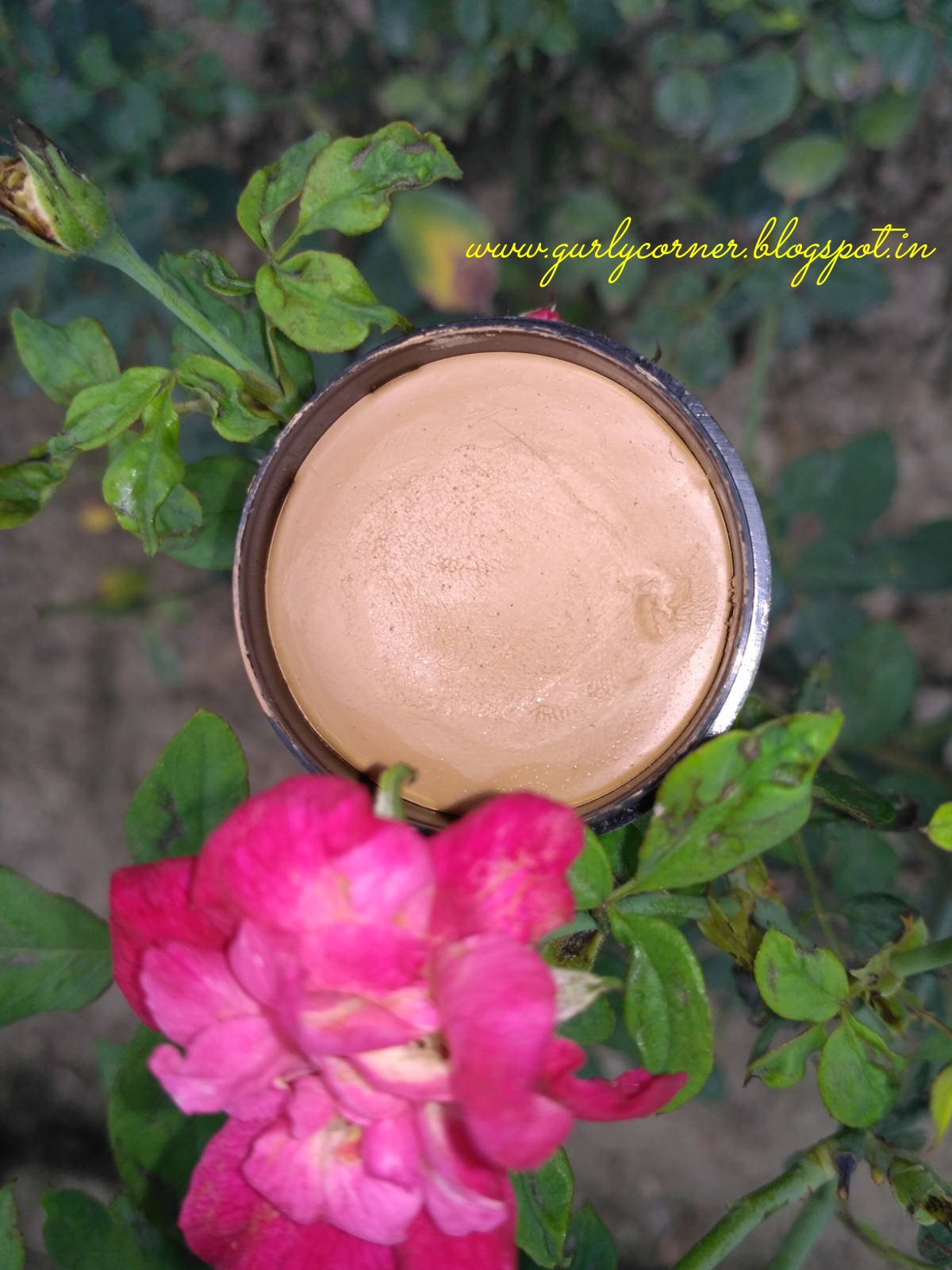 Barva Skin Therapie SPF Foundation(Shade D1) Review & Swatch