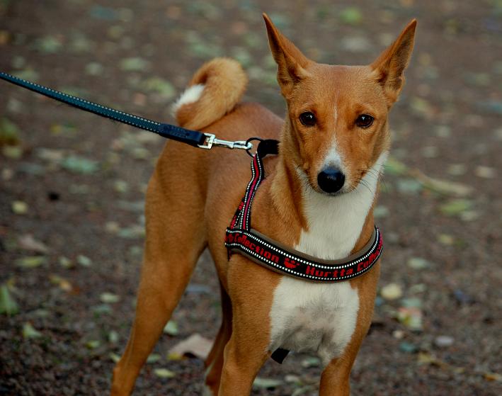 FOTOGRAF MARKUS SANDBERG