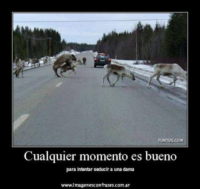 Desmotivaciones Graciosas: Motivaciones graciosas