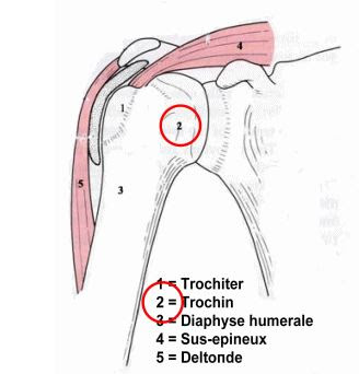 Un médecin du sport vous informe: 2013/07 - 2013/08