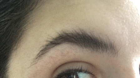 All About Brows | Beauty From Katie