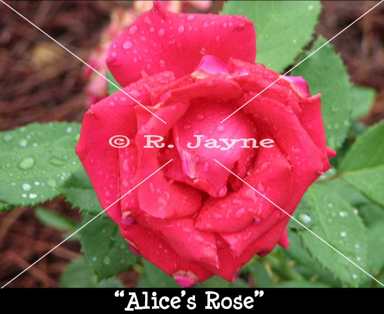 4th Grade For Sure: My Art