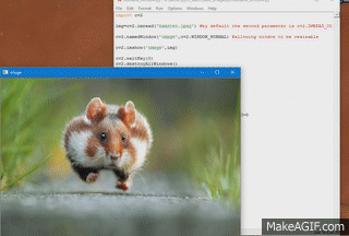 PythonOpenCV Basic Projects: TUT2: Loading an image with Resizable Window