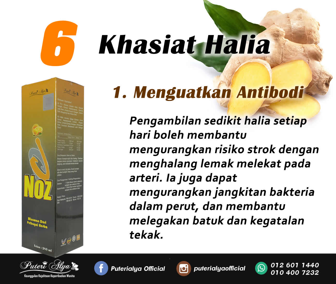 Puteri Alya: 6 Khasiat Tradisional Halia
