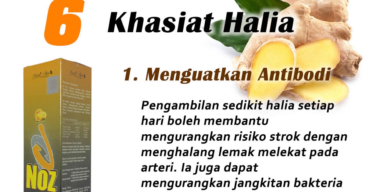 Puteri Alya: 6 Khasiat Tradisional Halia