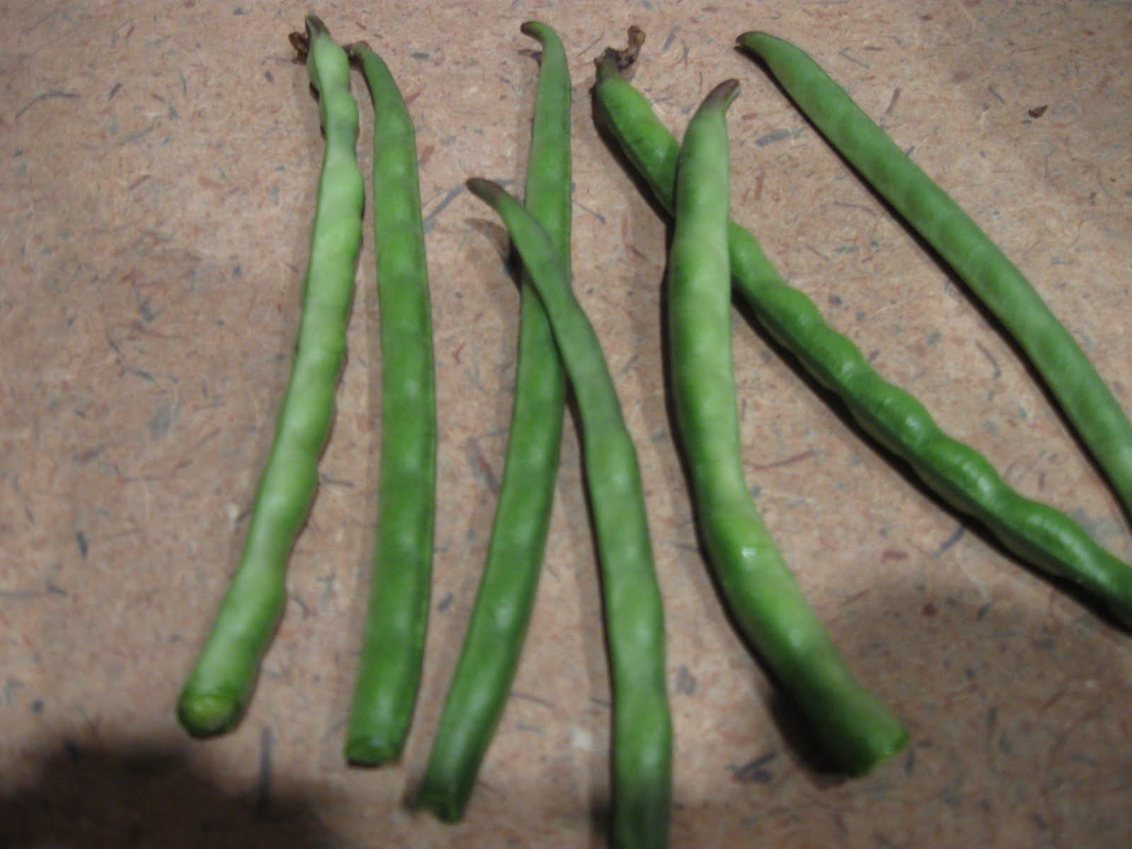 Growing Food in Florida: When to harvest cowpeas and okra?