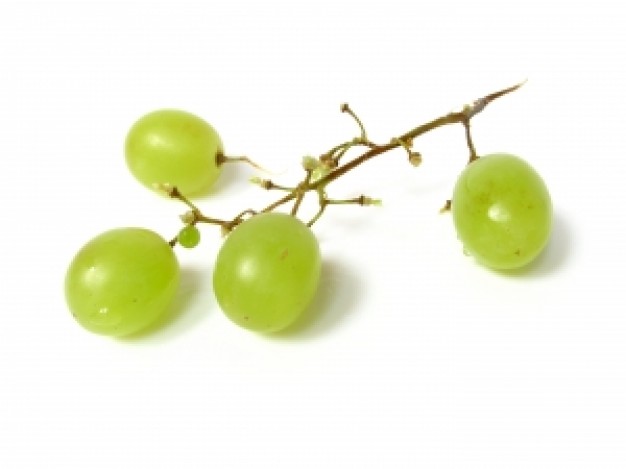 Nos gusta el medio ambiente