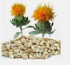 ASPİR OTU NEDİR? NERELERDE KULLANILIR? - Kent Yaşam