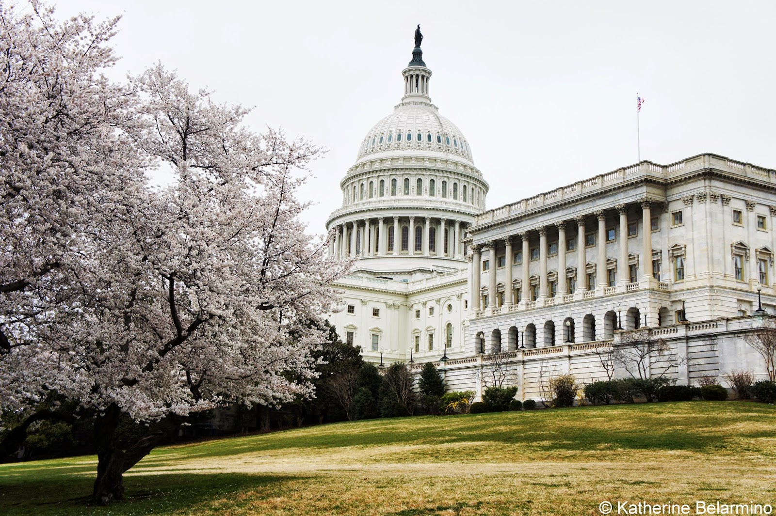 Touring the Three Branches of Government While Visiting Washington, DC ...