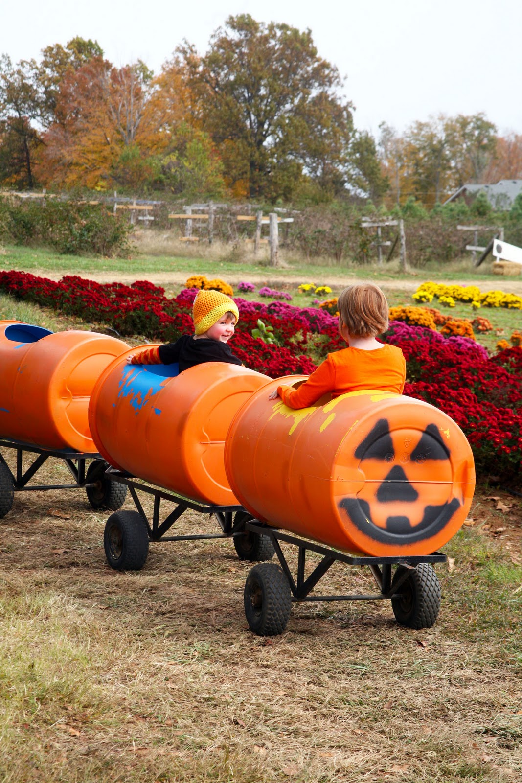 D.I.Y. Louisville: Local Feature: Roberts Family Farm