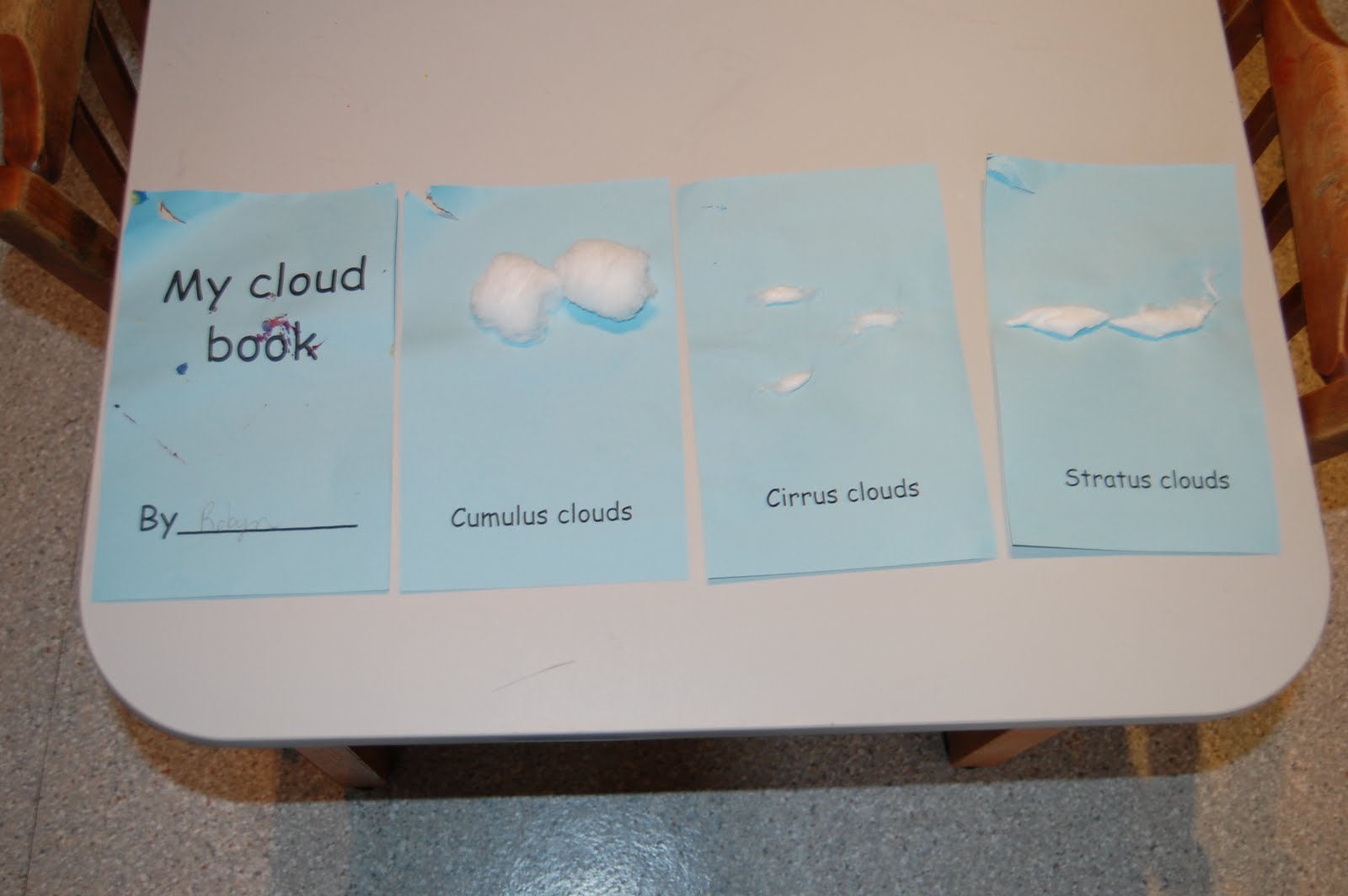 Montessori Design: Weather Unit