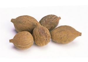 Veda Ayurveda: बायोआयुर्वेदा बायो डायबलैस सप्लीमेंट BIO DIABLESS SUPPLEMENT