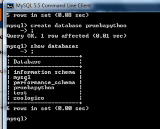Aprender python3-Tkinter: Conexión de python3 con bases de datos