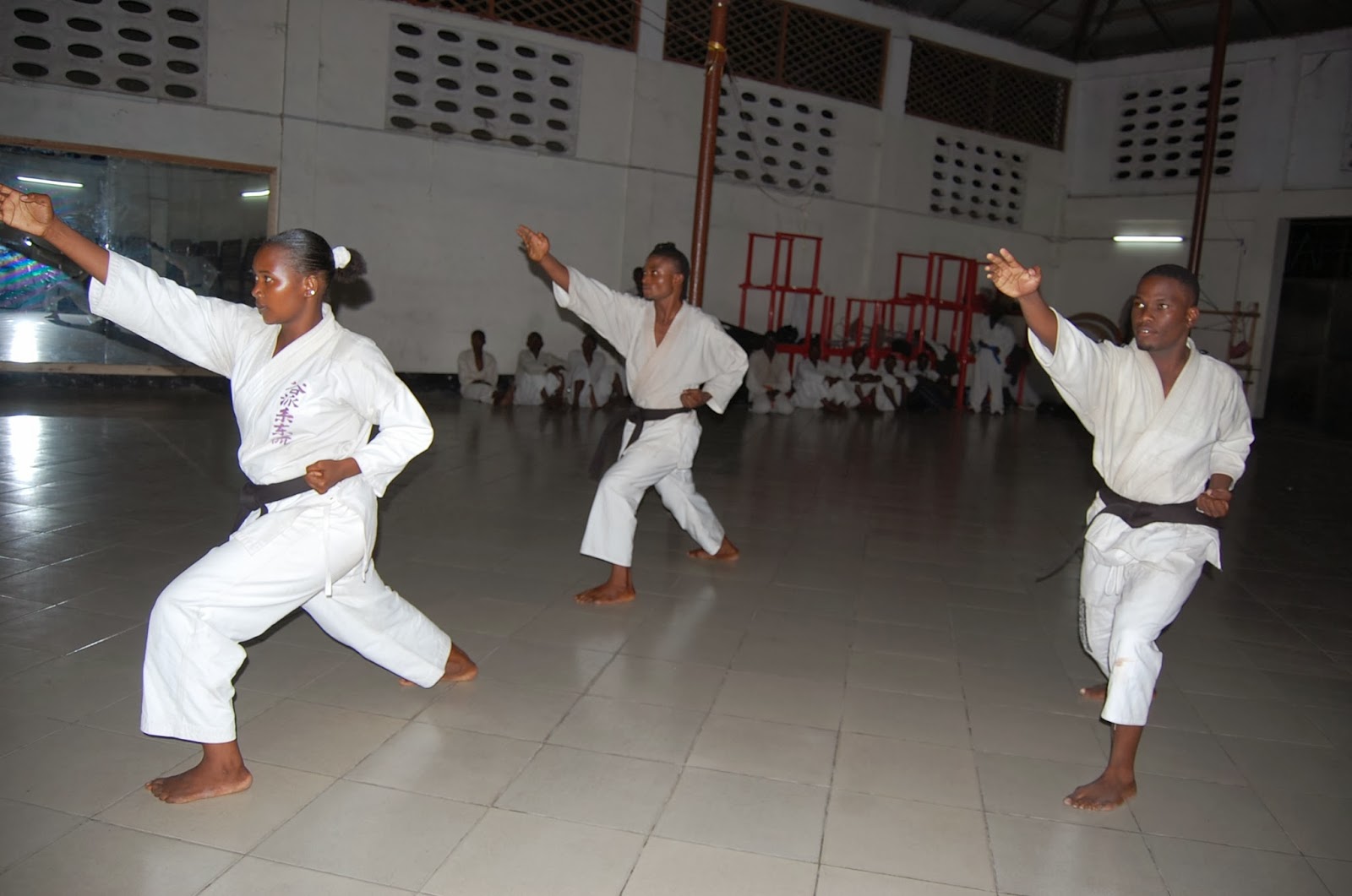Tanzania Karate: Kata