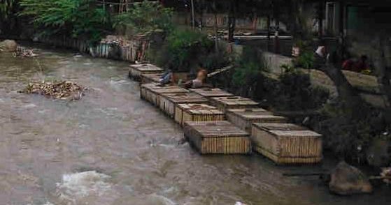 Wadah Budidaya Perikanan : Karamba Bambu/Kayu - Lalaukan
